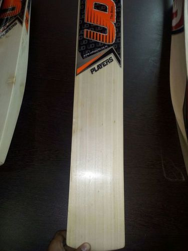 English Willow Cricket Bat at Best Price in Meerut | Shivalik Associates