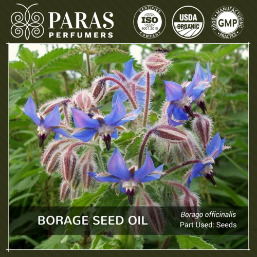 Borage Seed Oil Usage: Personal Care at Best Price in Delhi | Paras Perfumers