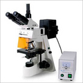 Fluorescence Microscopes at Best Price in Ambala, Haryana | Abbot & Abbot
