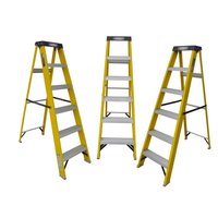 Frp Trade Ladder at Best Price in Vadodara, Gujarat | Twin Engineers