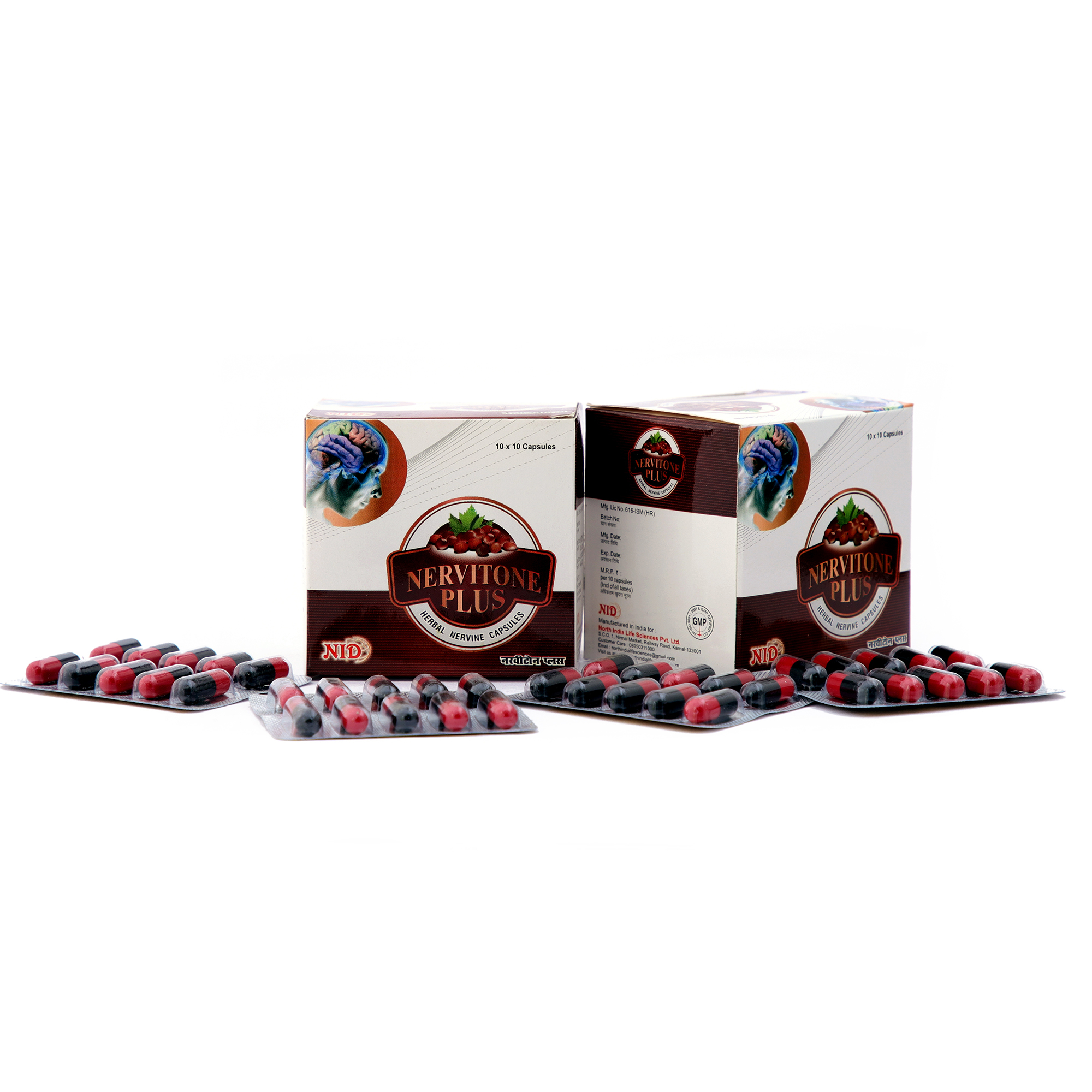 Ayurvedic Nervine Capsules at Best Price in Karnal, Haryana | North ...