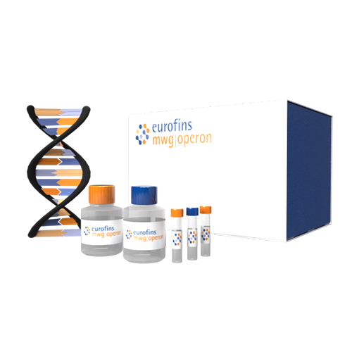 Eurofins Operon at Best Price in Dehradun, Uttarakhand | Parshvanath ...