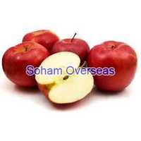 Apple at Best Price in Rajkot, Gujarat | Soham Overseas