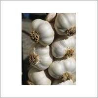 Organic Garlic at Best Price in Chennai, Tamil Nadu | Yes Global ...