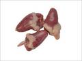 Heart at Best Price in Palani, Tamil Nadu | Shanthi Feeds Pvt. Ltd.