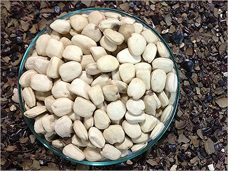 Tamarind Seed Husk at Best Price in Dadra and Nagar Haveli, Dadra and ...