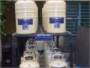 Liquid Nitrogen Transfer Container at Best Price in North 24 Parganas ...