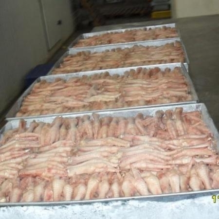 Frozen Halal Chicken Feet at Best Price in Venlo | Fooddrome B.v.