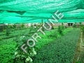 Green Net at Best Price in Vapi, Gujarat | Fortune Agro Net