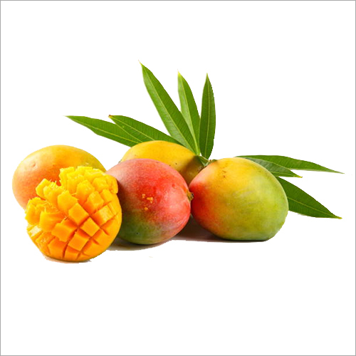 Alphonso Fresh Mango at Best Price in Tiruverambur, Tamil Nadu | Dharma ...