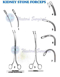 Kidney Stone Forceps at Best Price in Rajkot, Gujarat | Western Surgical