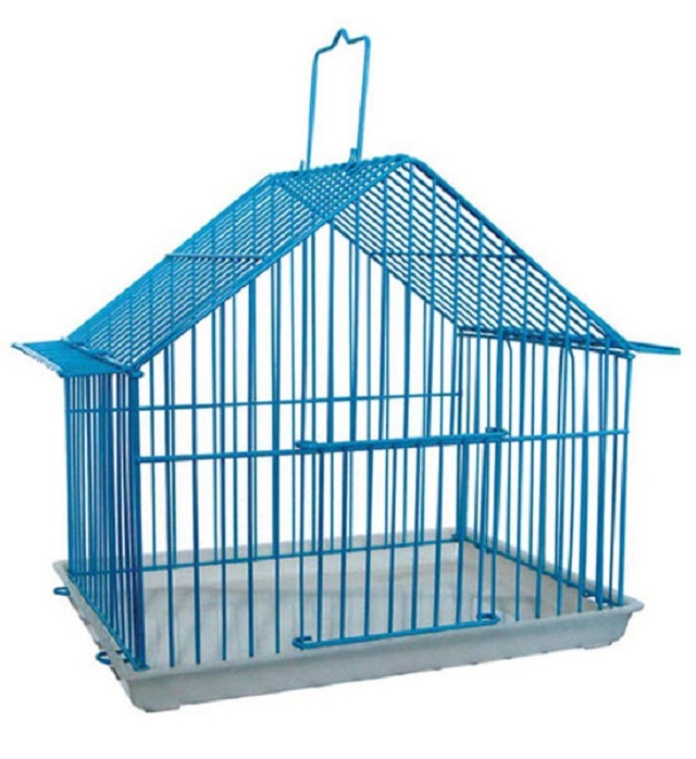 Wrought Iron Bird Cage - Metal, Black Enamel Finish | Modern Arts Style ...