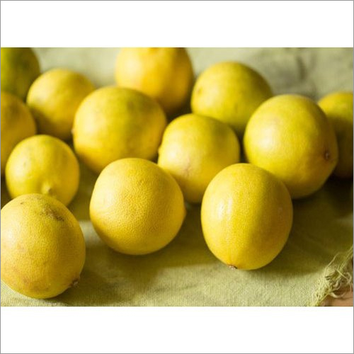 Fresh Lemon at Best Price in Kovilpatti, Tamil Nadu | Mani Traders
