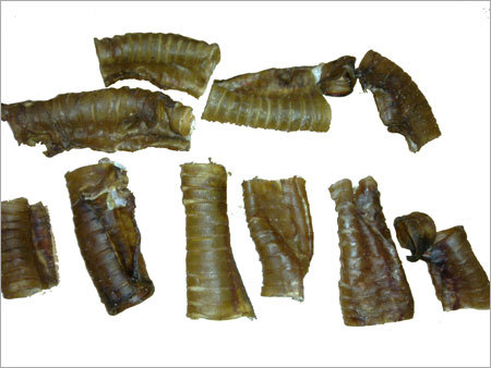 Bovine Trachea at Best Price in Bengaluru, Karnataka | Aania Exports