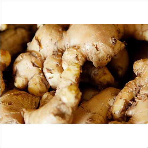 Fresh Ginger at Best Price in Lagos, Lagos | Continuous Abide Mark Limited