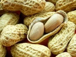 Groundnut at Best Price in Chennai, Tamil Nadu | Jayaramana Traders
