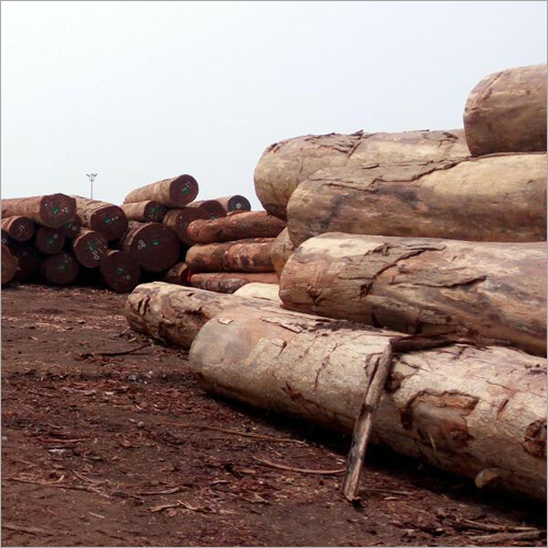 African Wood Log at Best Price in Goyang-si | In 4 Jc Co., Ltd