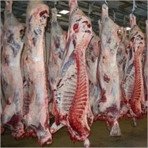 Halal Frozen Boneless Beef / Halal Buffalo Meat / at Best Price in ...