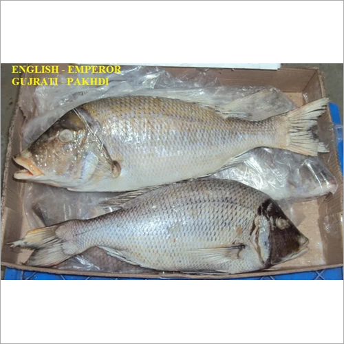 Emperor Fish at Best Price in Veraval, Gujarat | Rameshwar Cold Storage