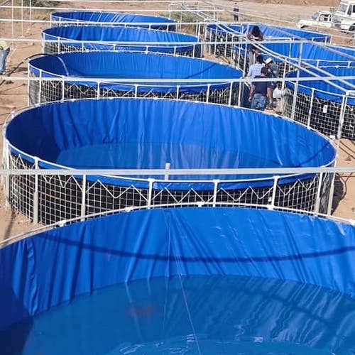 Biofloc Tank at Best Price in Pune, Maharashtra | Mipa Industries