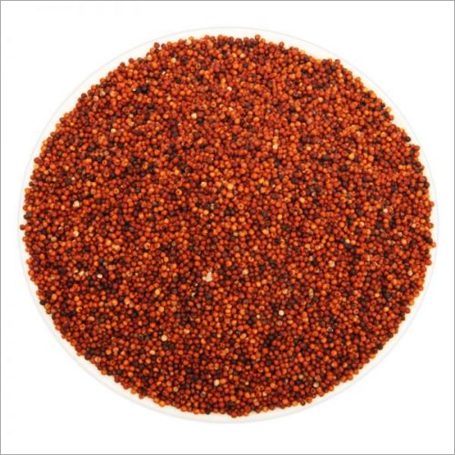 Red Millet at Best Price in Warsaw, Warsaw | Ecol Sp.z.o.o.