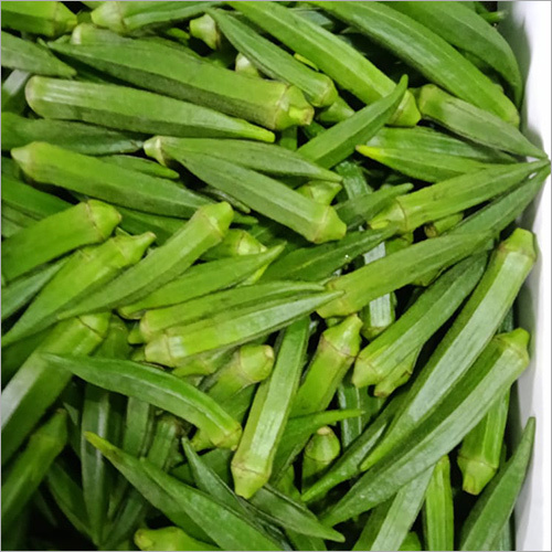 Lady Finger at Best Price in Pune, Maharashtra | Sujay Agro Exports