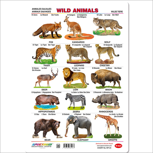 Wild Animals Wall Chart Both Side Laminated at Best Price in Mumbai ...