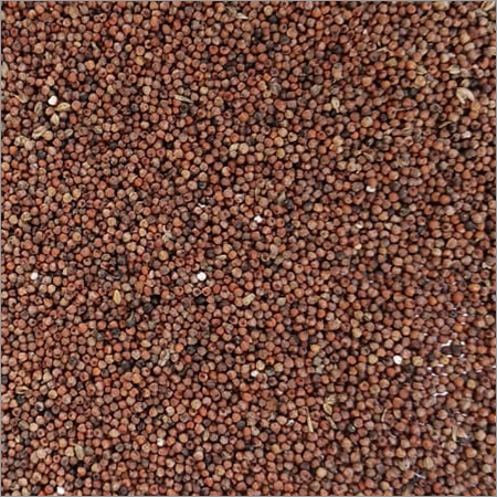 Ragi Millets - Organic Dried Natural Grain | High Purity, Nil Moisture ...