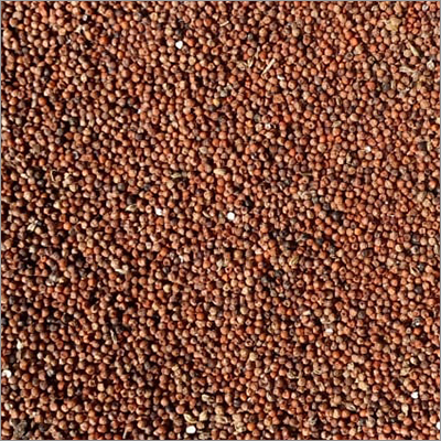 Ragi Millets - Organic Dried Natural Grain | High Purity, Nil Moisture ...