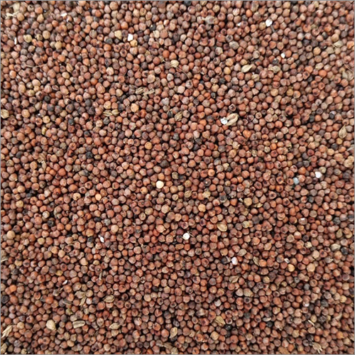 Ragi Millets - Organic Dried Natural Grain | High Purity, Nil Moisture ...
