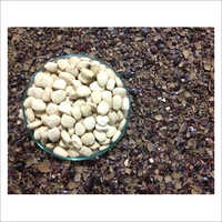 Tamarind Seed Husk at Best Price in Dadra and Nagar Haveli, Dadra and ...