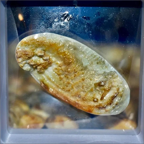 Shukar Mani at Best Price in Delhi, Delhi | Mishu Enterprises