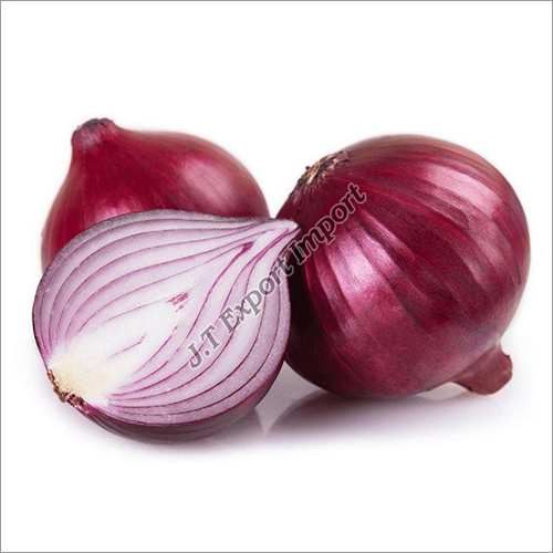 Fresh Red Onion at Best Price in Nagpur, Maharashtra | Jt Export Import