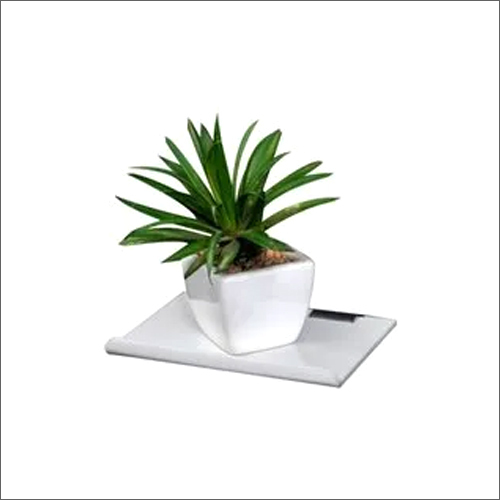 Polished Acrylic Self Stand at Best Price in Ahmedabad | Shree Krishna ...