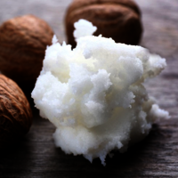 White Shea Butter (refined) at Best Price in Salem | Maduras Herbals