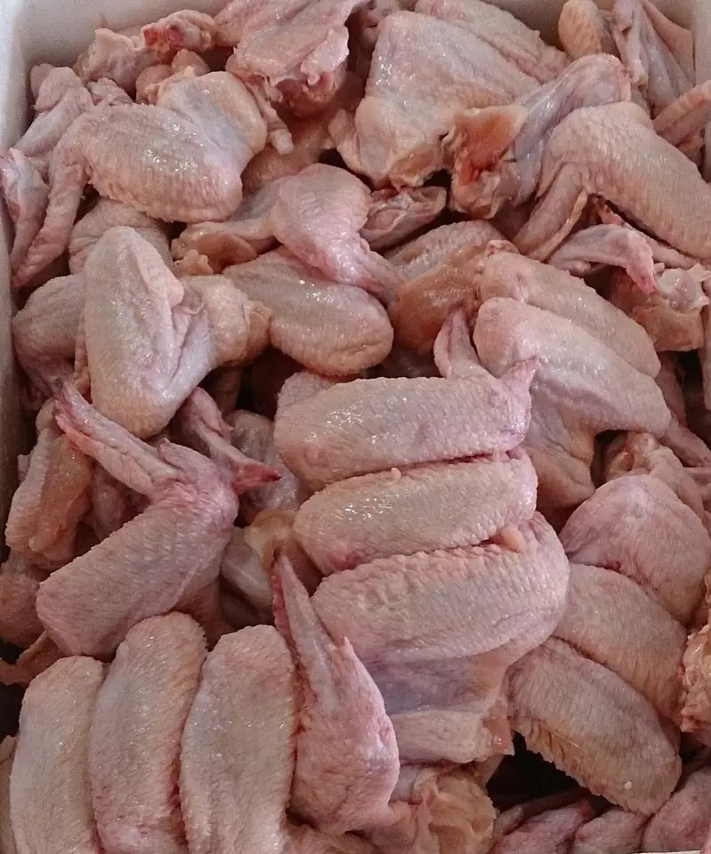 Frozen Halal Chicken Feet Fresh Frozen Chicken Parts Halal Grade A at ...