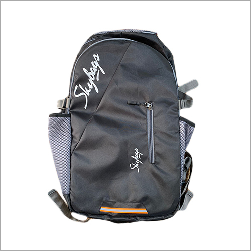 Black And Grey Skybags Backpacks at Best Price in New Delhi | Ram ...