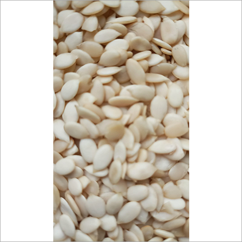 White Tarbooj Magaj Seed at Best Price in Jodhpur | Vinayak Industries