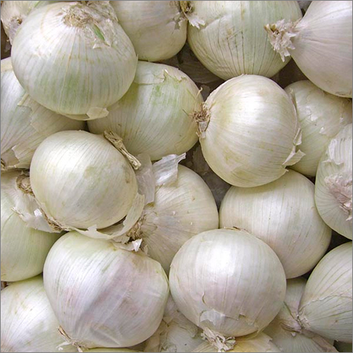Natural White Onion at Best Price in Delhi, Delhi | Prr Fresh Produce ...