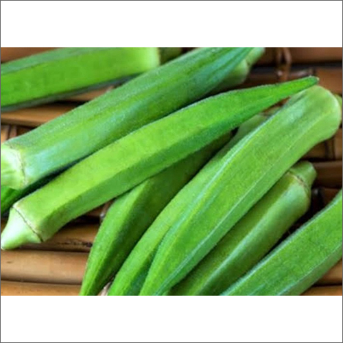 Rectangle Fresh Green Okra at Best Price in Rampur | Rampur Krishak ...