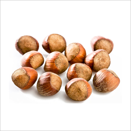 Organic Natural Hazelnut at Best Price in Tiruchirappalli, Tamil Nadu ...