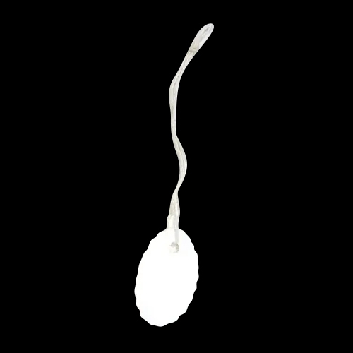 Waterproof Plant Tag With Thread at Best Price in New Delhi | Ajay ...