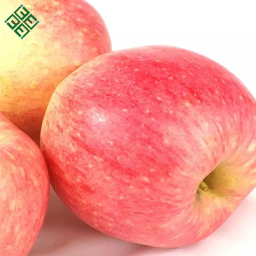 Red Chinese Apple Delicious Royal Gala Apples at Best Price in ...