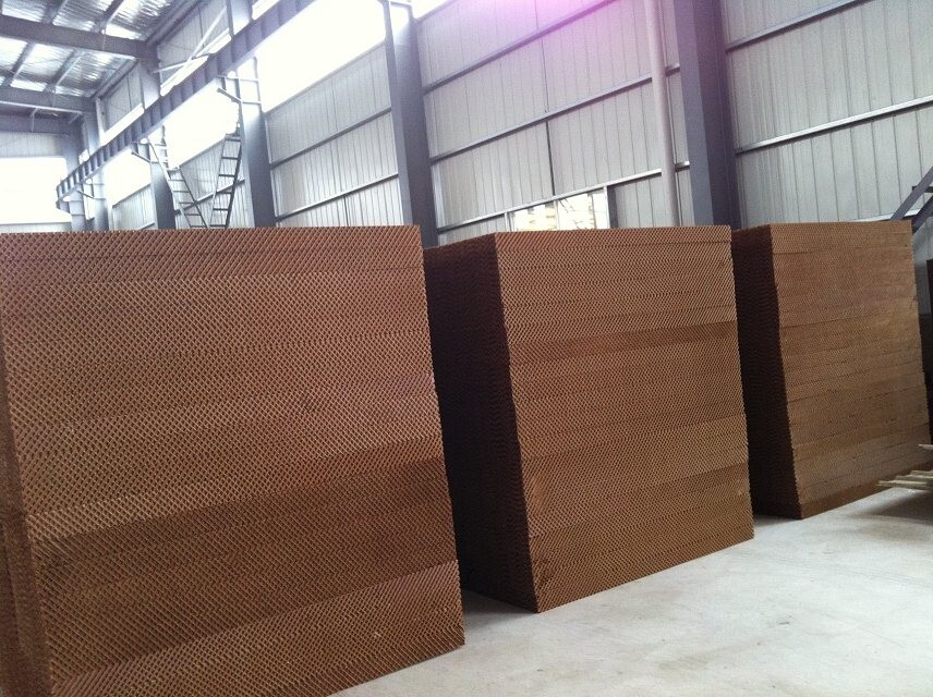 Cellulose Pad In Noida Uttar Pradesh at 400.00 INR in Delhi | Enviro ...