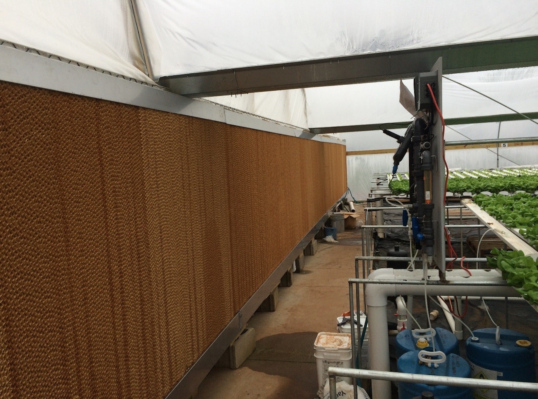 Cellulose Pad In Thane Maharashtra India at 400.00 INR in Delhi ...