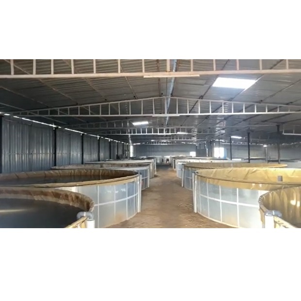 Recirculating Aquaculture Systems Fish Farm at Best Price in Vadodara ...