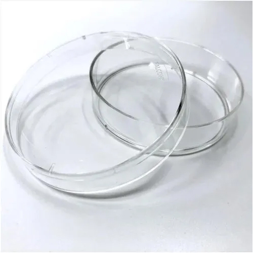 60x15 Mm Cell Culture Dishes - Transparent Polystyrene | Ideal For Ivf ...