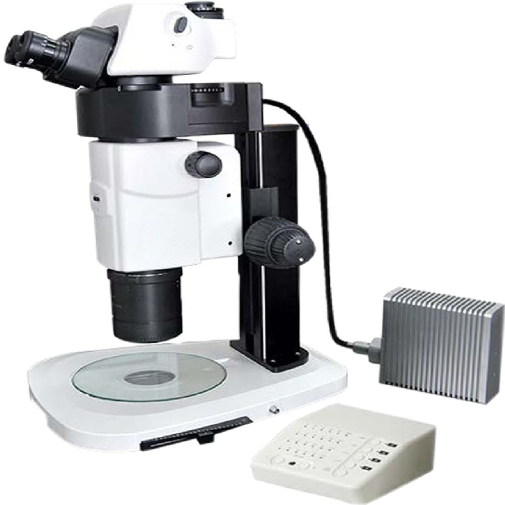 Motorized Stereo Microscopes Application: Medical Science at Best Price ...