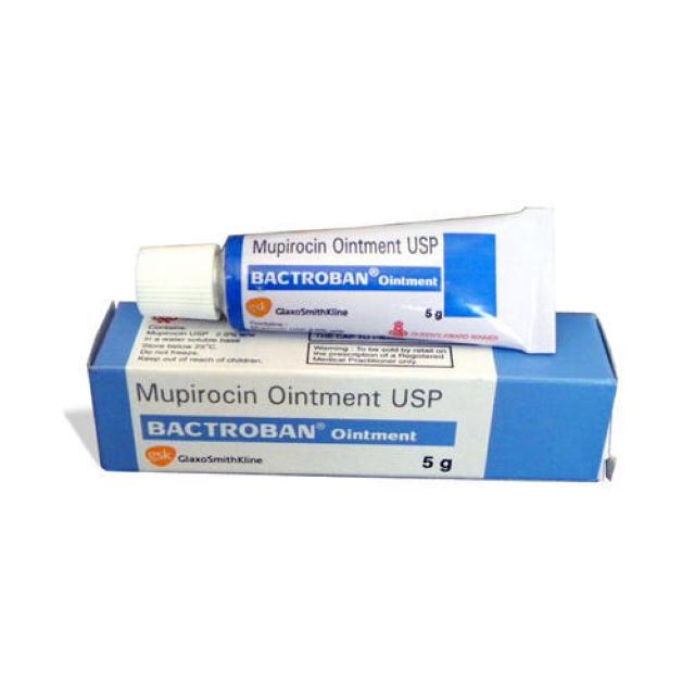 Mupirocin Ointment General Medicines at Best Price in Delhi | Cytonova ...
