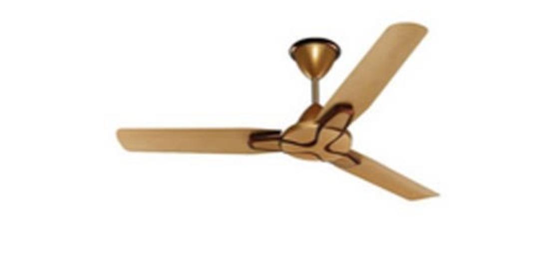 48 Inch Ceiling Fan at 775.00 INR in Ahmedabad | Shreeji Bapa Exim